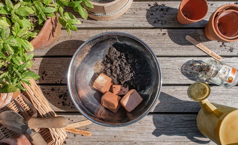 How to make wildflower seed bombs | Homes and Gardens