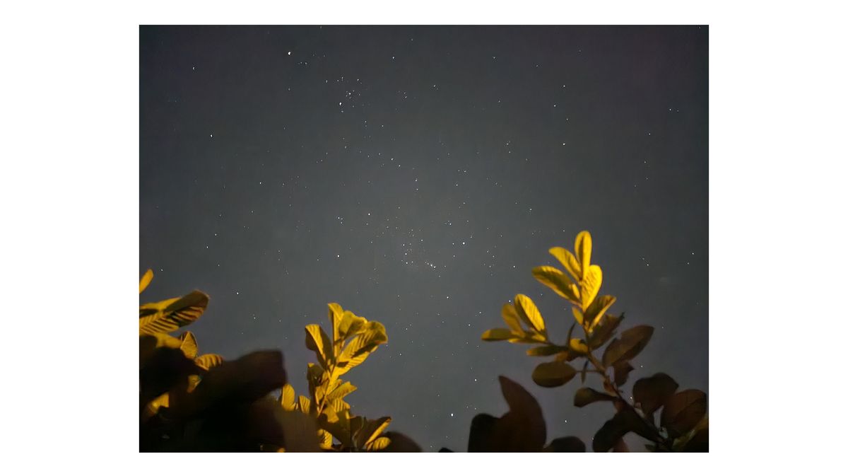 Samsung Galaxy S23 Ultra camera samples highlight impressive night and ...