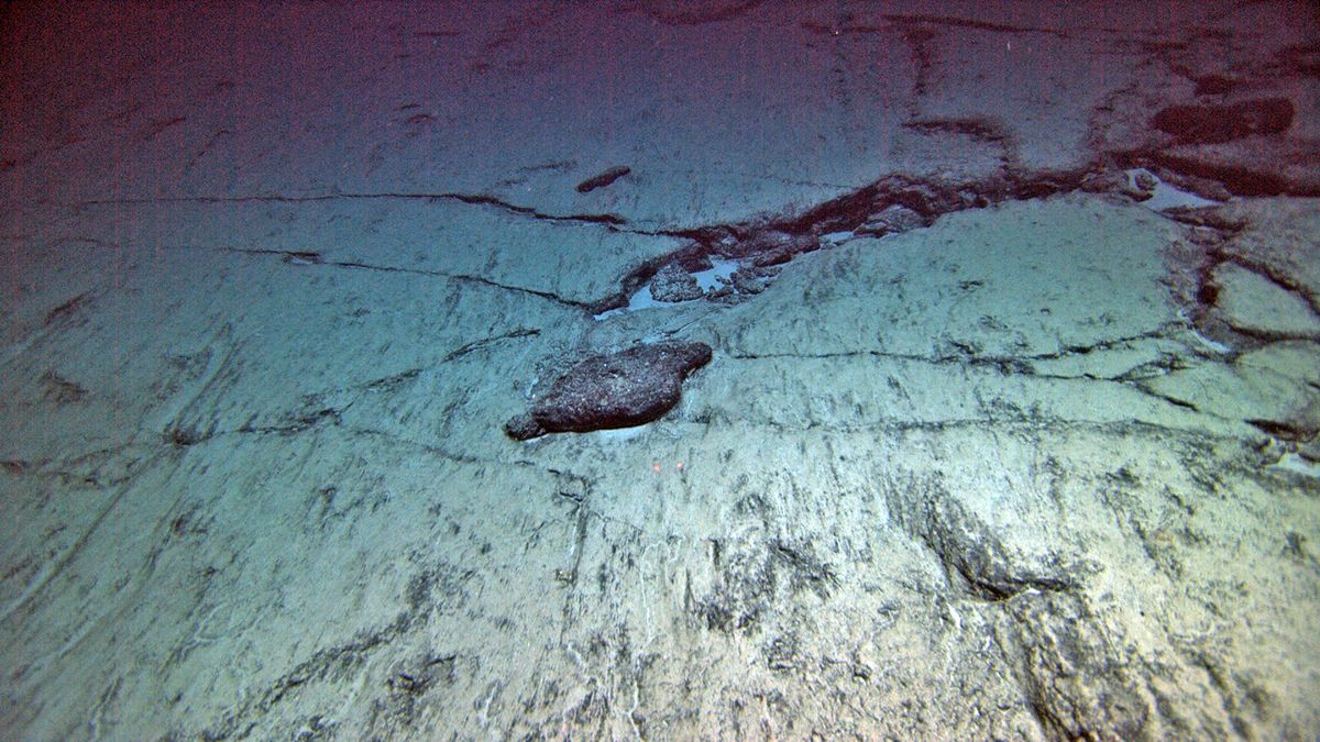 Photos: Hawaii's New Underwater Volcano | Live Science