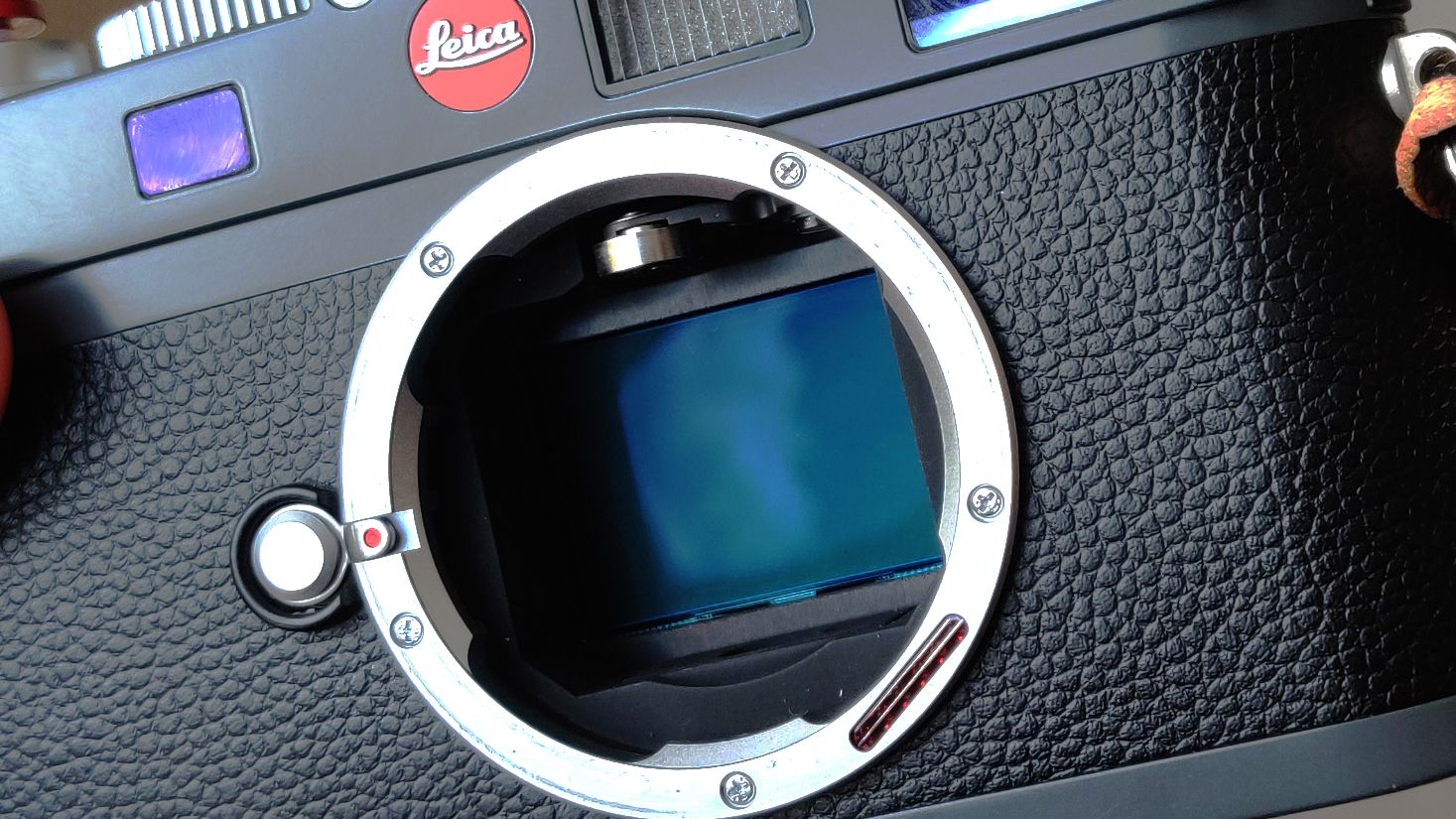 I think CCD sensors are STILL the best, so I'm selling all my CMOS ...