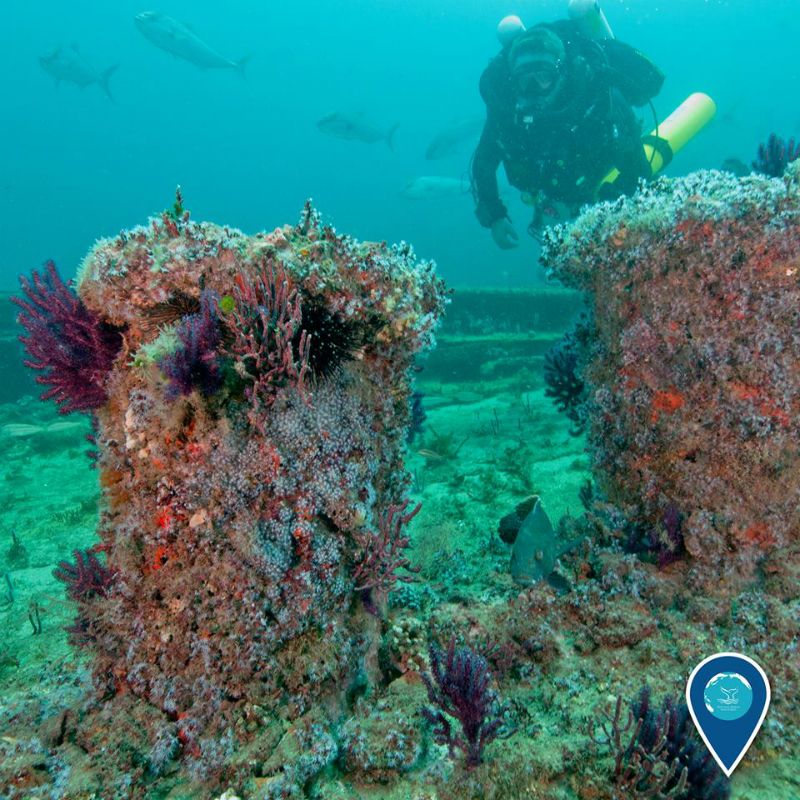 12 Outstanding Artificial Reefs to Visit: Page 2 | Live Science