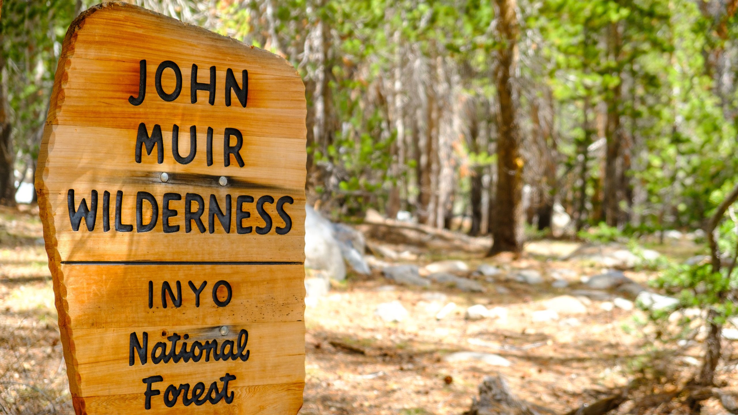 What is a Wilderness Area? | Advnture