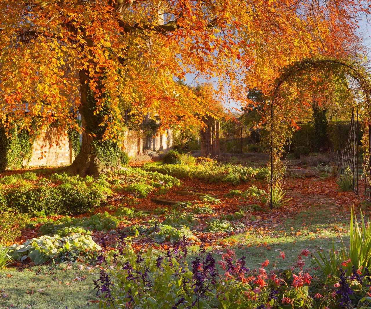 7 fall gardening mistakes: expert advice on avoiding them | Homes and ...