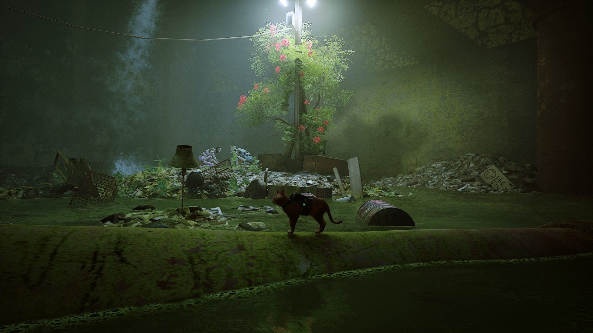 Stray plants: where are the purple, red and yellow flowers | TechRadar