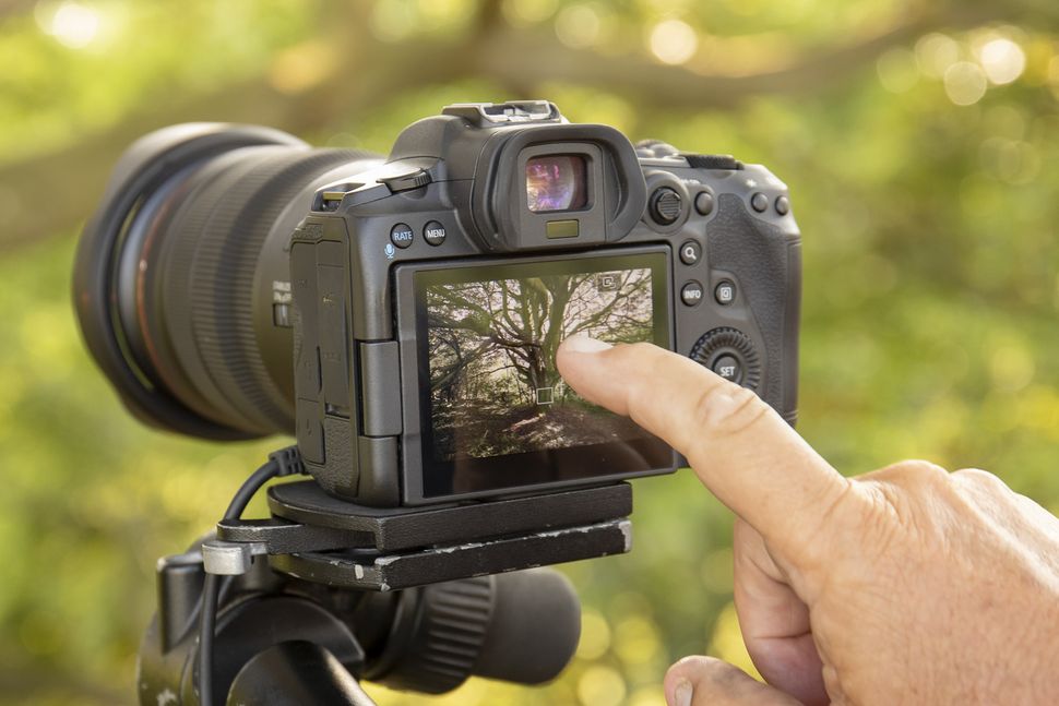 10 pro tips for tremendous treescapes: take amazing tree landscapes ...