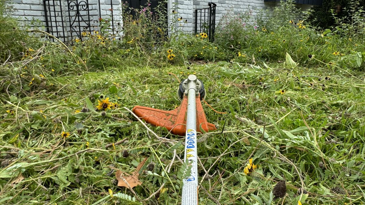 STIHL FSA 200 R String Trimmer review: quirky yet powerful, efficient ...
