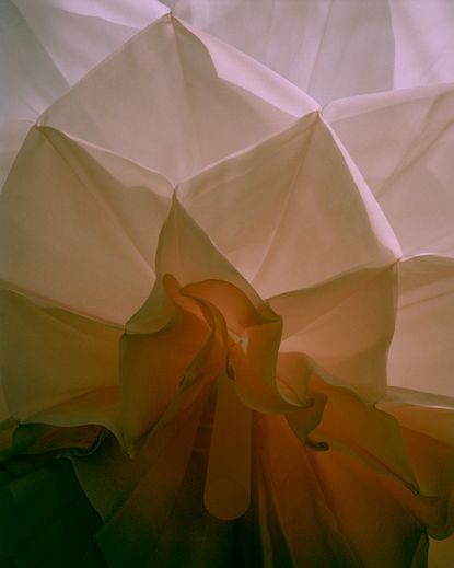 Studio Drift reimagines science and nature in solo show | Wallpaper*