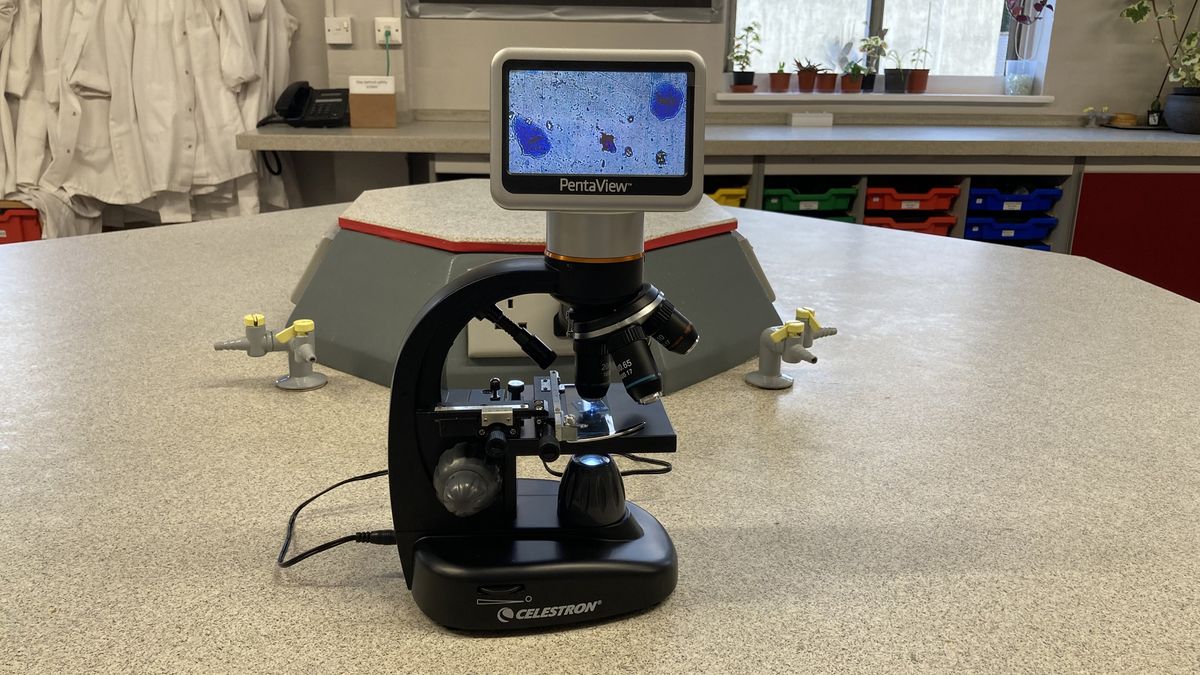 Celestron PentaView LCD Digital Microscope Review | Live Science