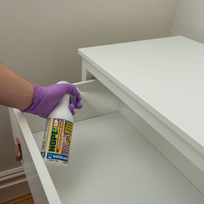 How to get rid of moths in wardrobes, carpets and pantries | Ideal Home