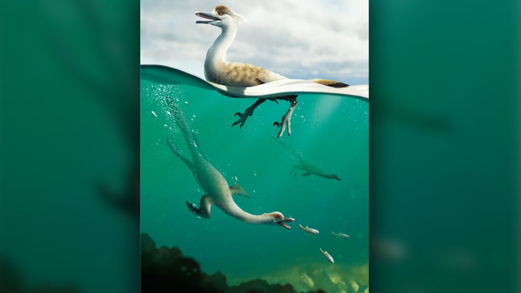 Noodle-necked swimming dinosaur may have been a diving predator like a ...