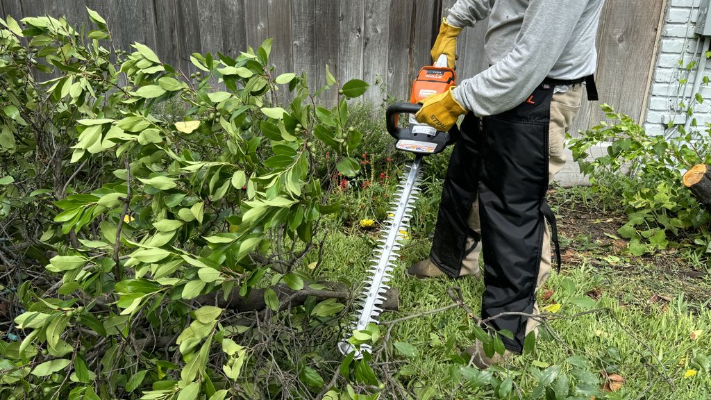 STIHL HSA 60 Hedge Trimmer review: a battery-powered hedge trimmer that ...