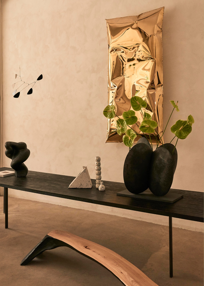 Types of Anthuriums — 5 Stylish Picks to Bring Home | Livingetc