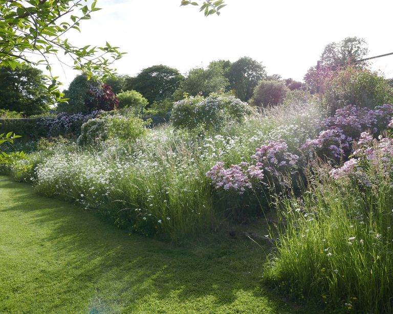 Wildflower garden ideas: 10 ways to grow meadow flowers | Homes and Gardens