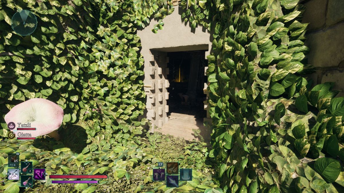 Avowed Treasure Map Guide find Practical Pockets and more | Windows Central