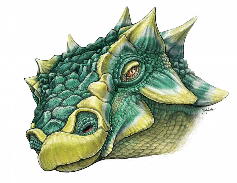 Photos: See the Armored Dinosaur Named for Zuul from 'Ghostbusters' | Live Science