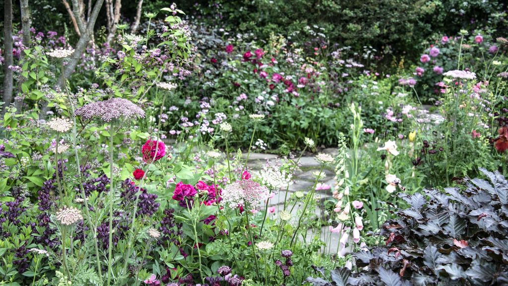 Best filler plants for sparse flower beds: 5 top picks | Homes and Gardens