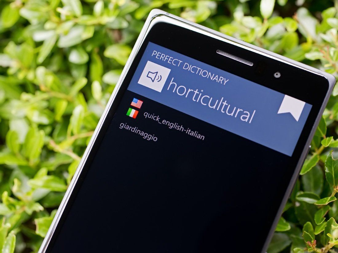 Perfect Dictionary – A simple yet wordy Windows Phone app | Windows Central