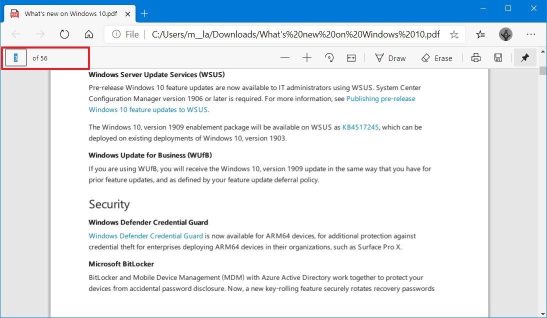 How To Use Pdf Viewer On New Microsoft Edge Chromium | Windows Central