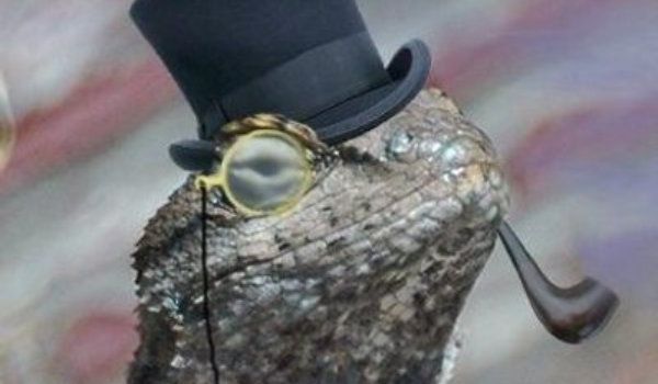 Why Lizard Squad Hacked Xbox Live And PSN | Cinemablend