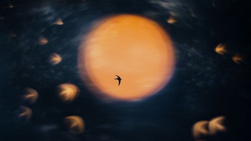 Show off your best shots: 10 photography competitions open for entries ...