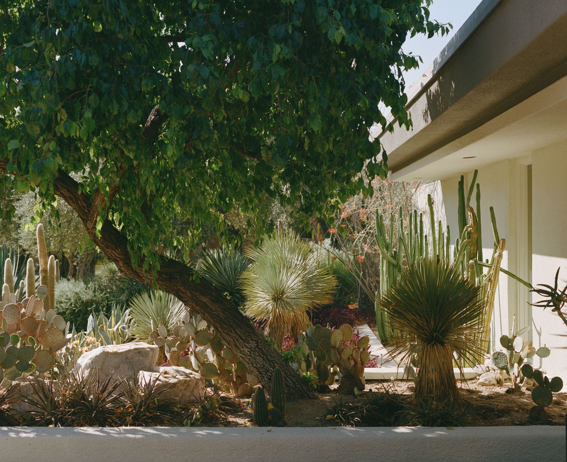 We meet Studio John Sharp, LA’s in-demand landscape designer | Wallpaper*
