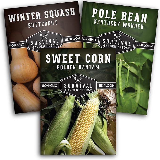 What is intercropping? Tips from an experienced vegetable grower ...