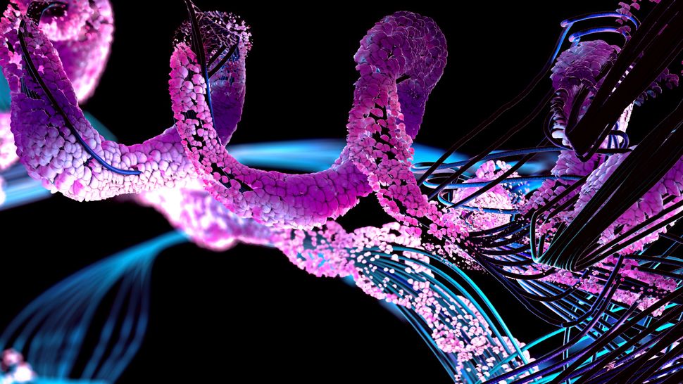 DeepMind's AI program AlphaFold3 can predict the structure of every ...