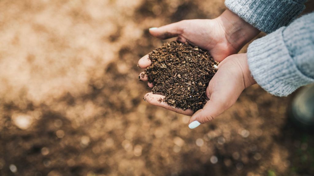 How to use ash in your garden: 6 hidden benefits of fire ash | Woman & Home