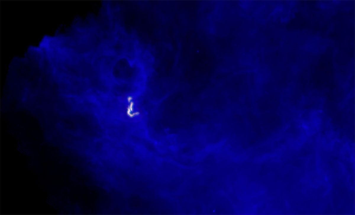 Quadruple Star Babies Found in Cosmic Womb | Space