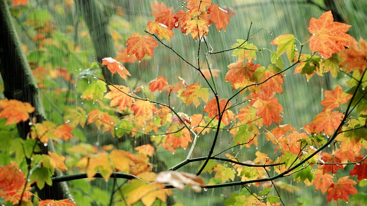 Farmers’ Almanac fall weather predictions: 5 ways to prepare | Homes ...