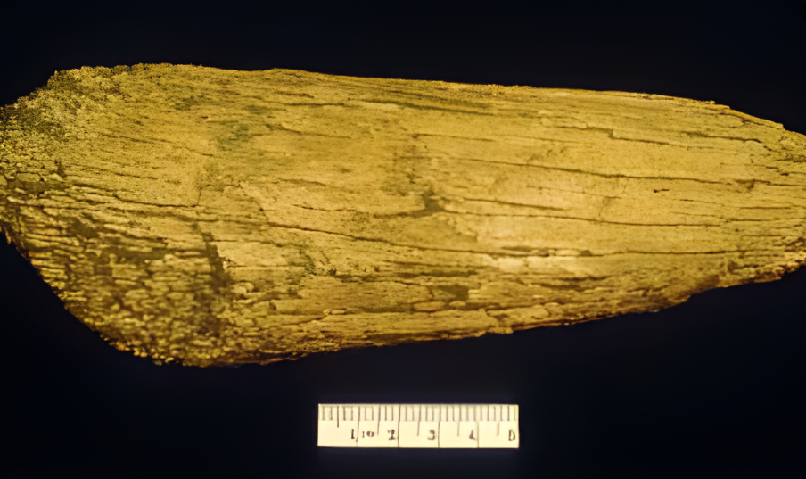 13 of the oldest archaeological sites in the Americas | Live Science