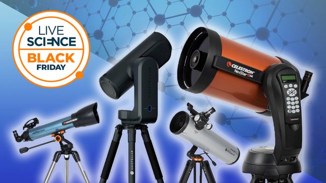 Science News, Latest Scientific Discoveries | Live Science