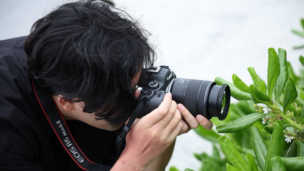 12 lenses of Christmas: a trinity of trinity-like lenses | Digital ...