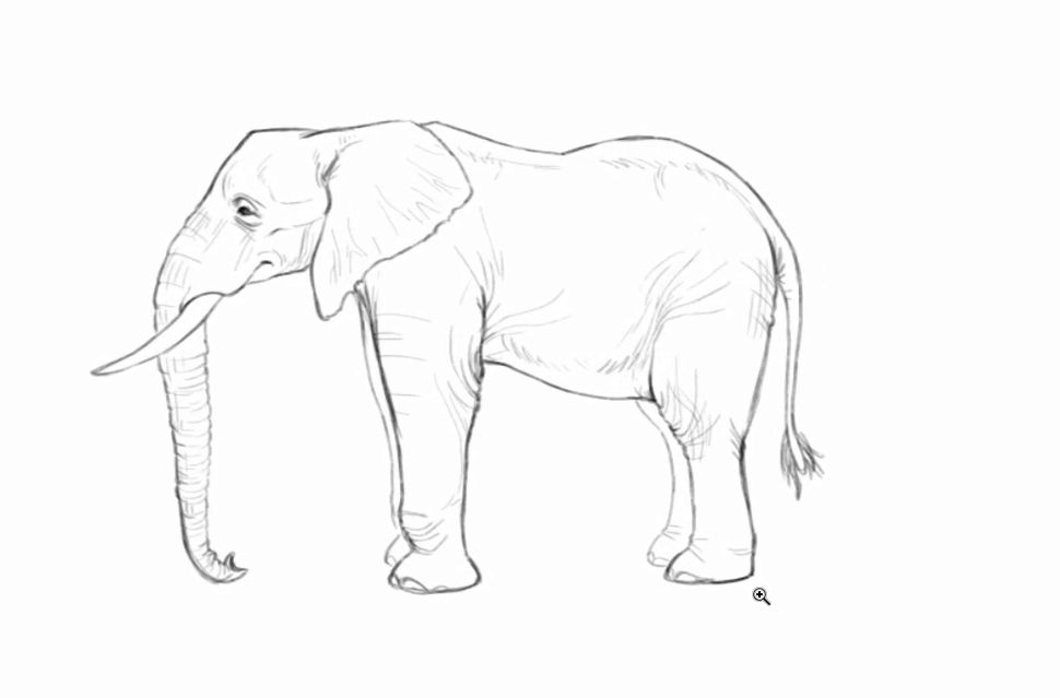 How to draw an elephant | Creative Bloq