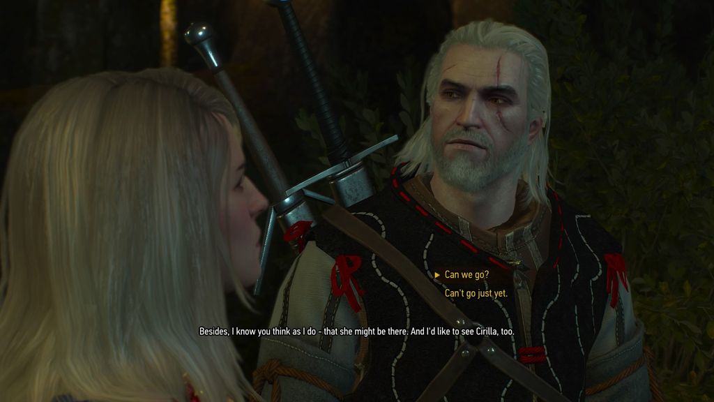The Witcher 3 Wandering in the Dark quest and how to escape from the ...