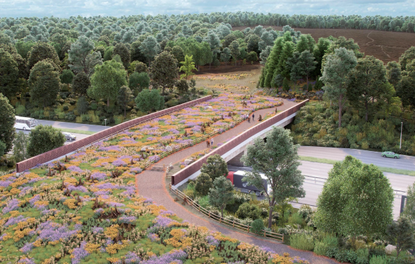 The M25 and A3 junction's 'wildlife bridge' shows the way forward for ...