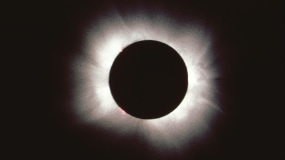 6 reasons why the 2024 total solar eclipse could be the best eclipse ...