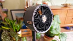 Shark just dropped a new bladeless fan that promises to be the most ...