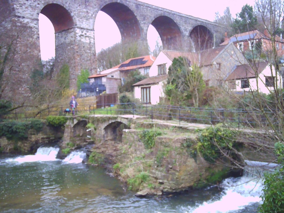 Mutrain X10 Digital Camera review: is this the worst camera ever ...