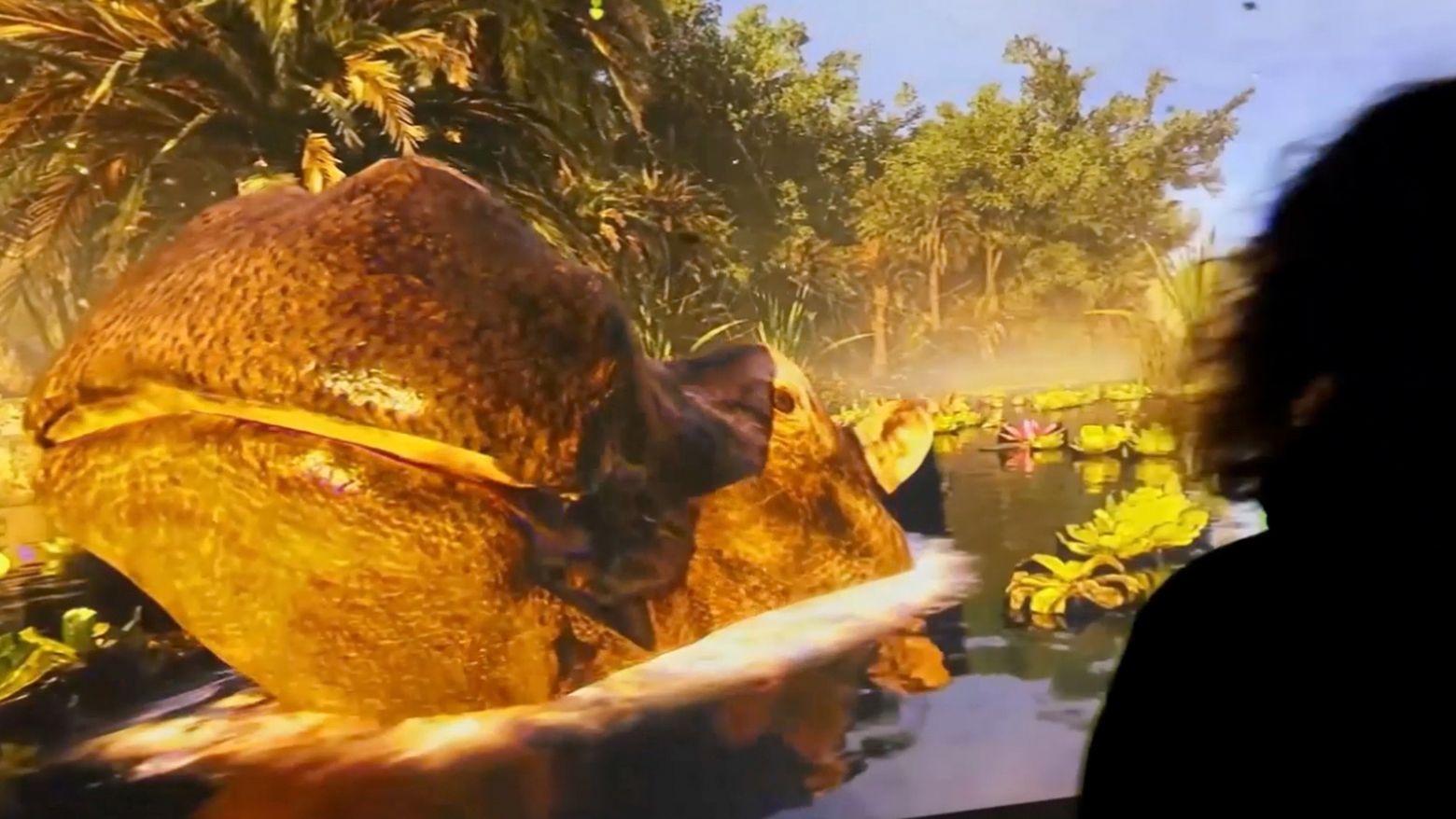 Check out America's First Hologram Zoo Where 'Technology Meets Wildlife ...