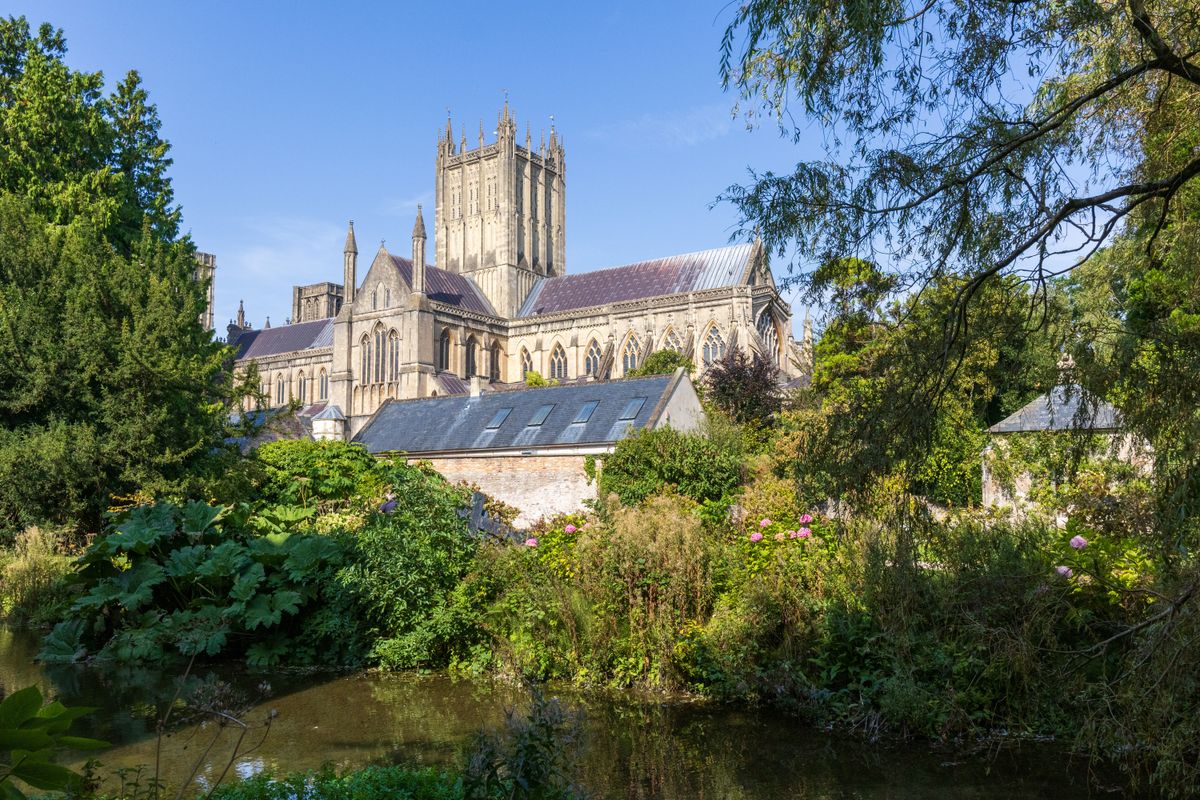 The best lenses for the Fujifilm X-T50: glass with the power to resolve ...