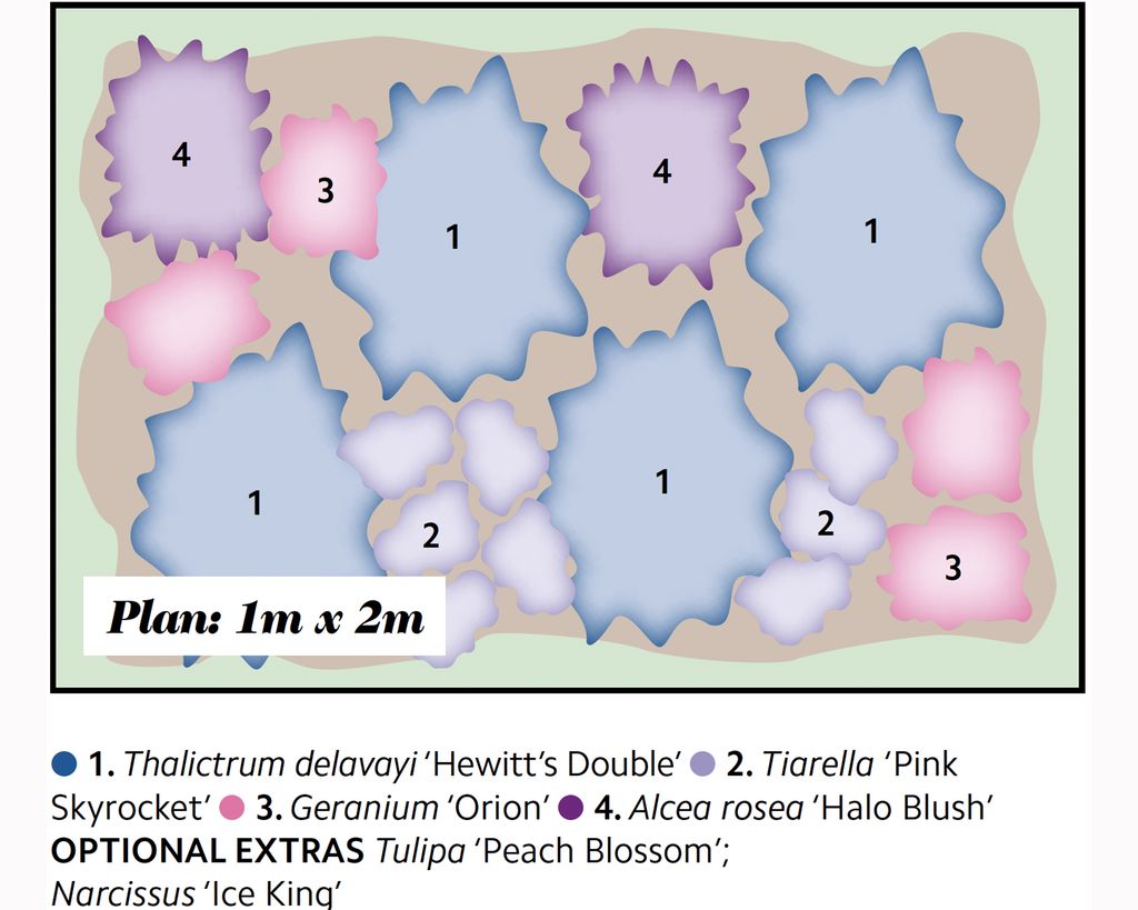 Garden border planting ideas: 6 stunning layouts to try | Gardeningetc