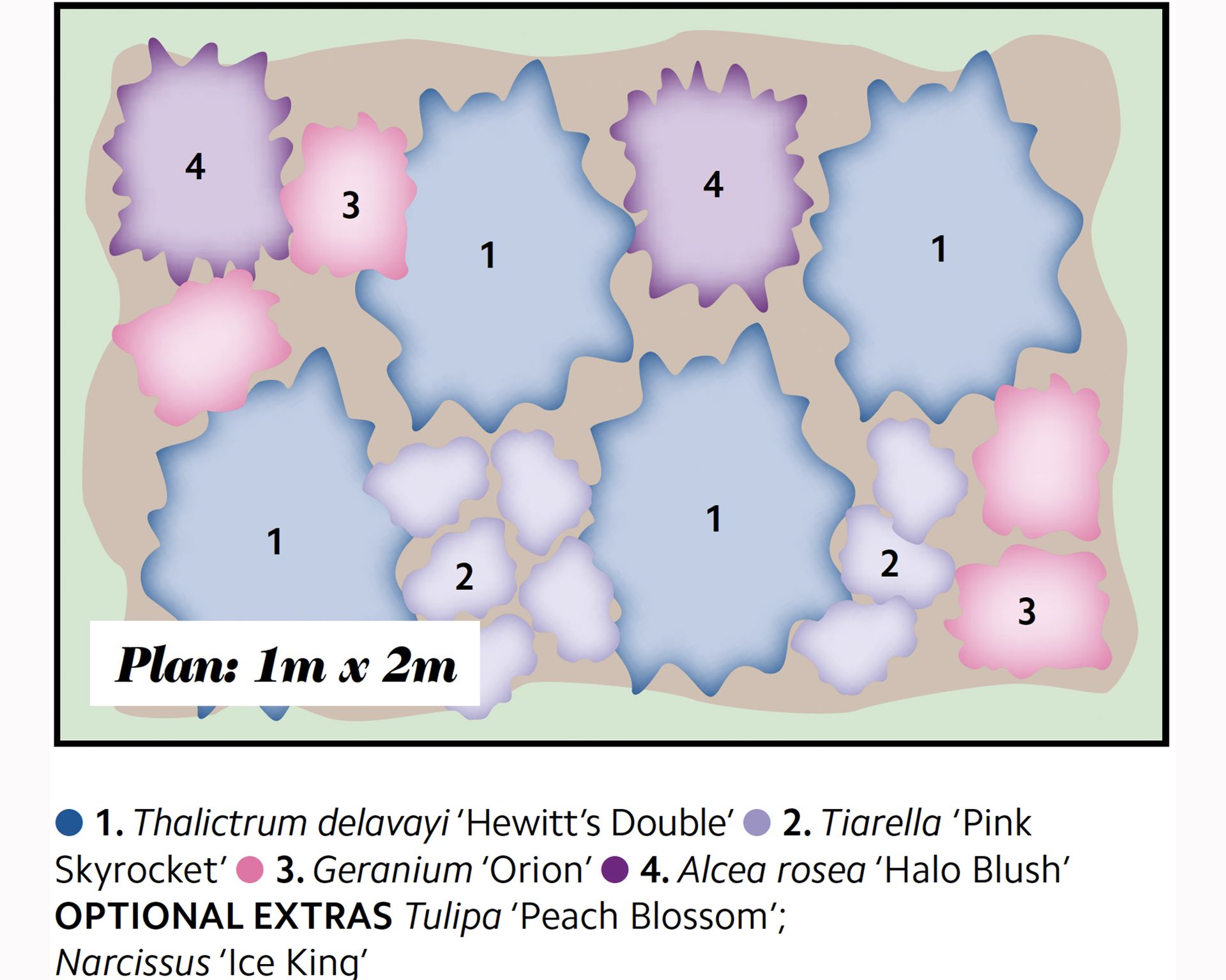 Garden border planting ideas: 6 stunning layouts to try | Gardeningetc