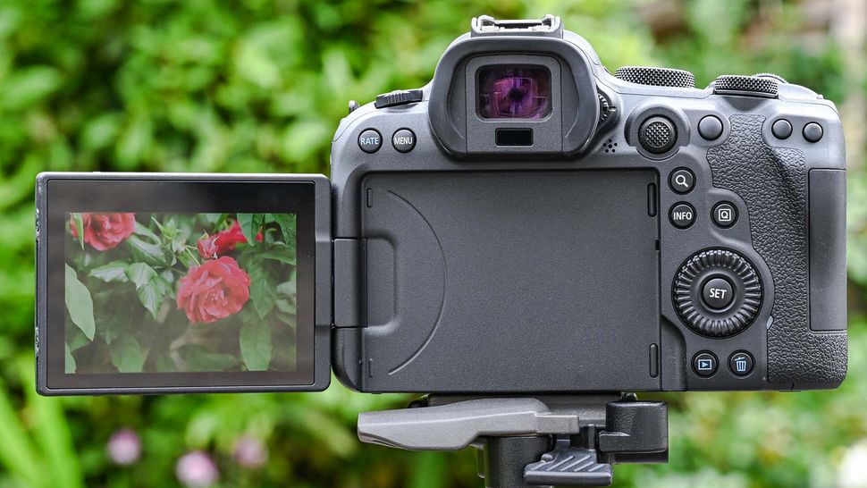 Canon EOS R6 Mark II review | Tom's Guide