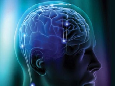 IBM Creates Software Environment for Brain-like Chips | Tom's Hardware