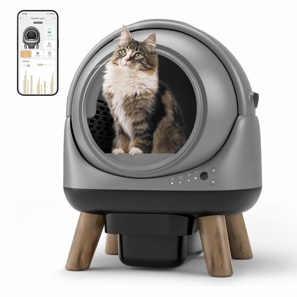I asked cats to test these robotic litter boxes — here's the ones they ...
