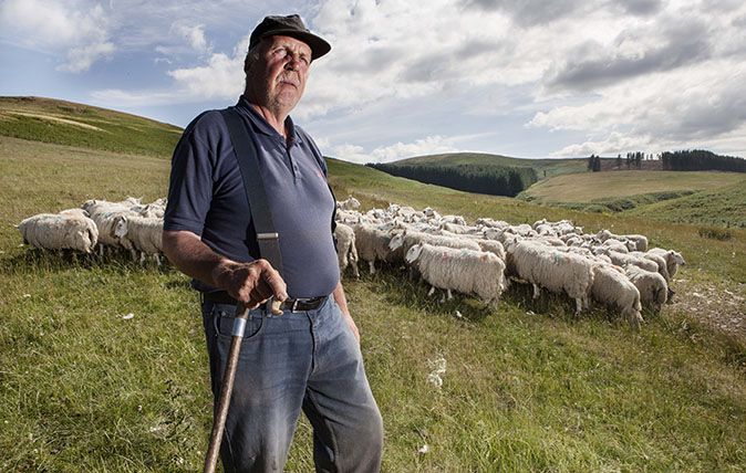 The hill shepherd: ‘I’m not sure where the shepherds of the future will ...