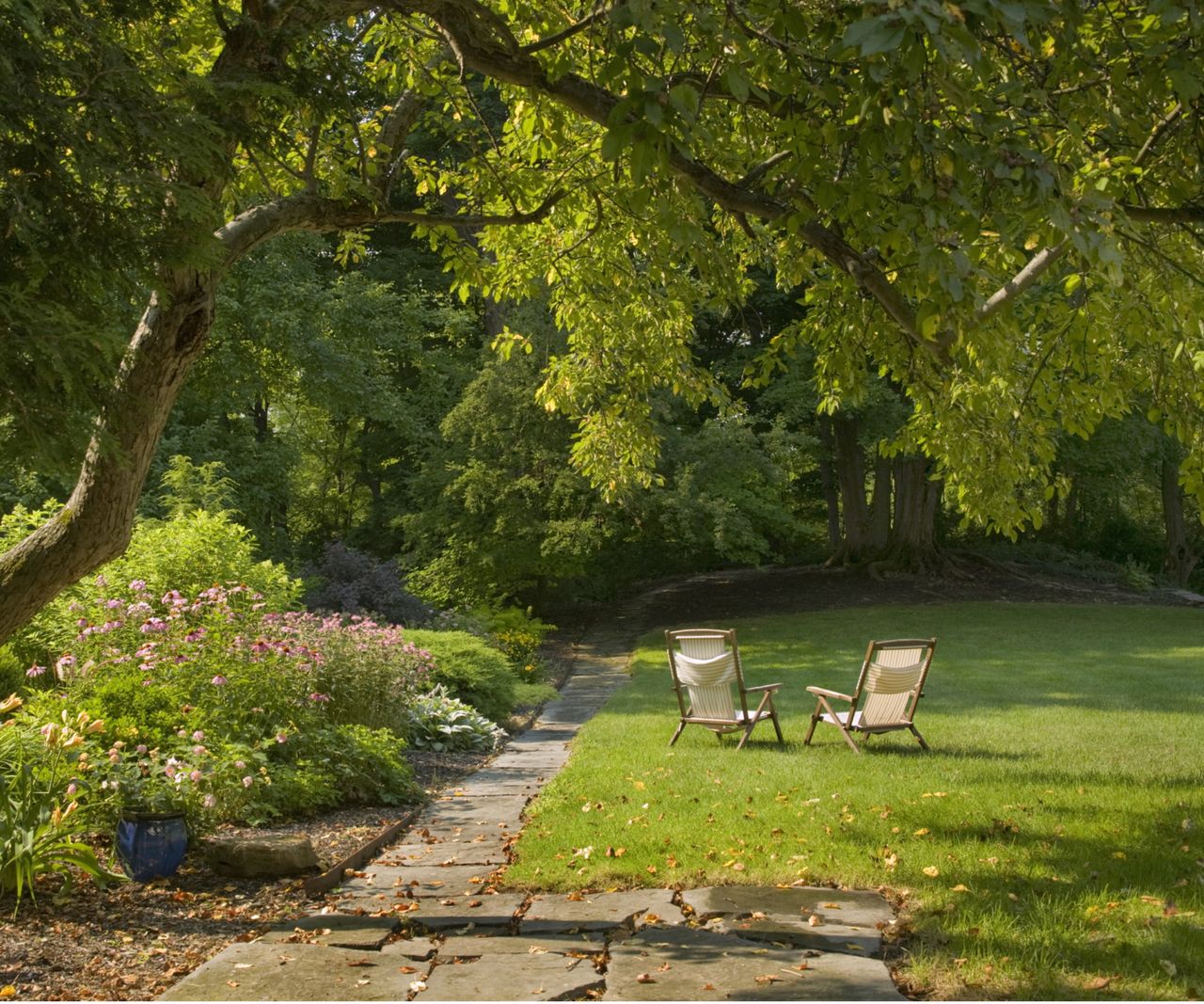 What's your birth month tree? All 13 explained | Homes and Gardens