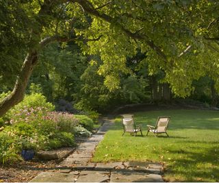 What's your birth month tree? All 13 explained | Homes and Gardens