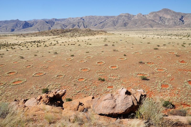 Image Gallery: Amazing 'Fairy Circles' of the Namib Desert: Page 2 ...